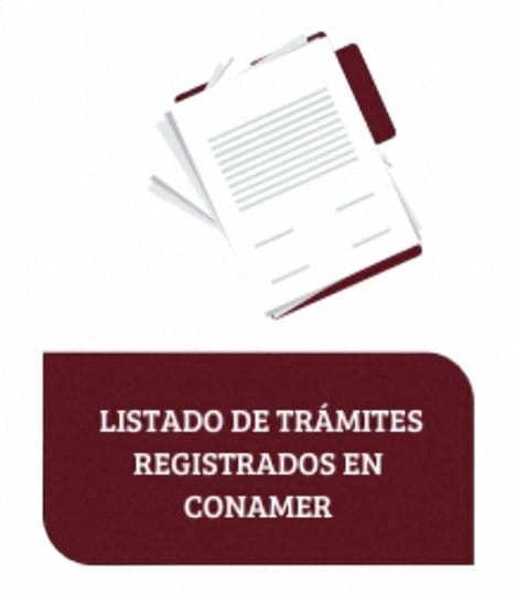 Trámites y servicios